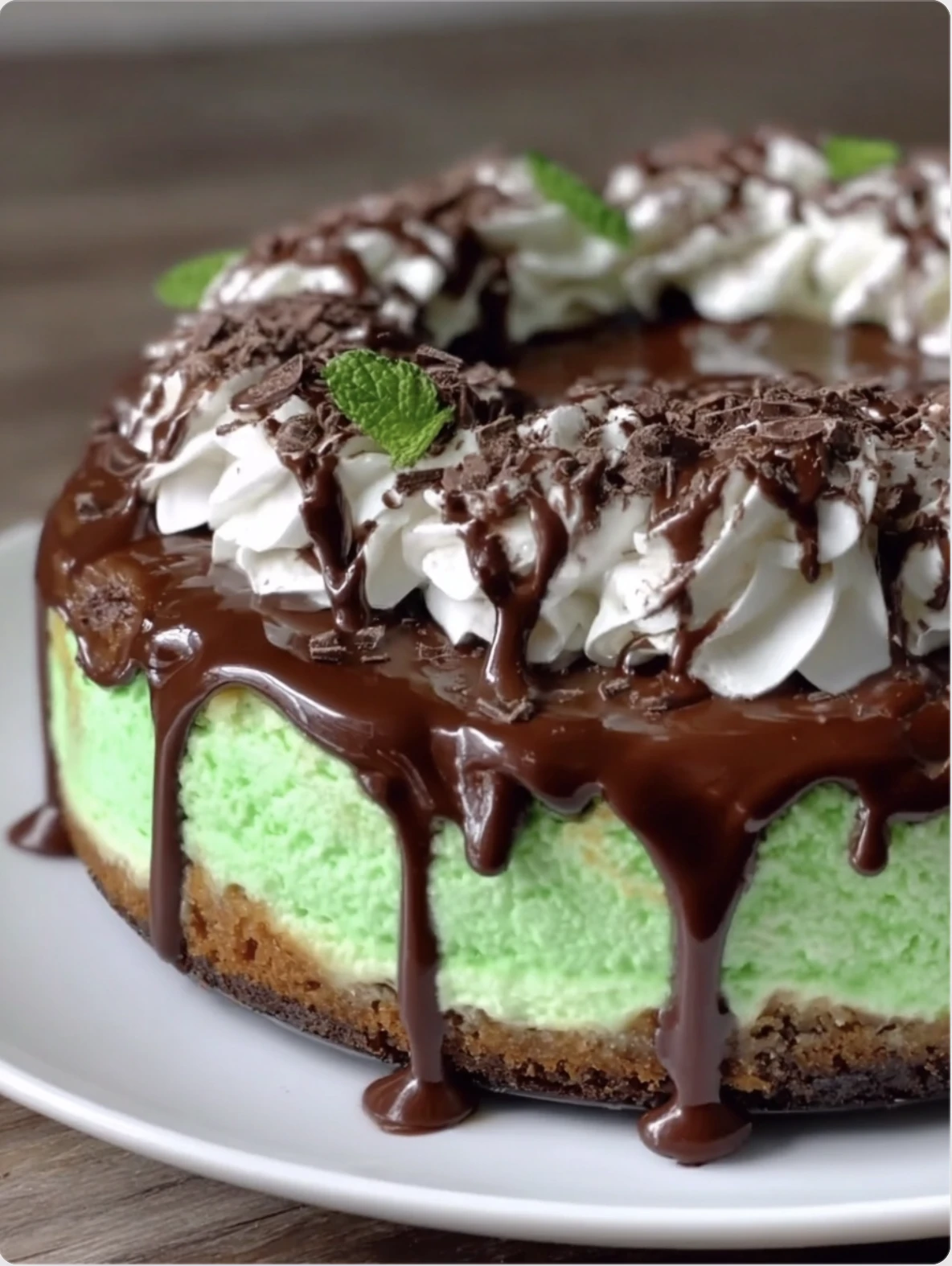 Mint Chocolate Fudge Cheesecake Cake – dynamicdishes.com